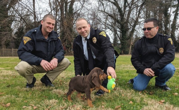 Haddonfield Police Debut K-9 ‘Blue’