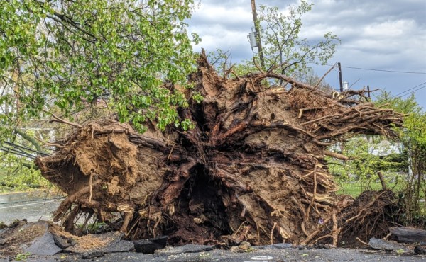 Multi-Town Study Seeks to Understand Shared Stormwater, Flooding Issues